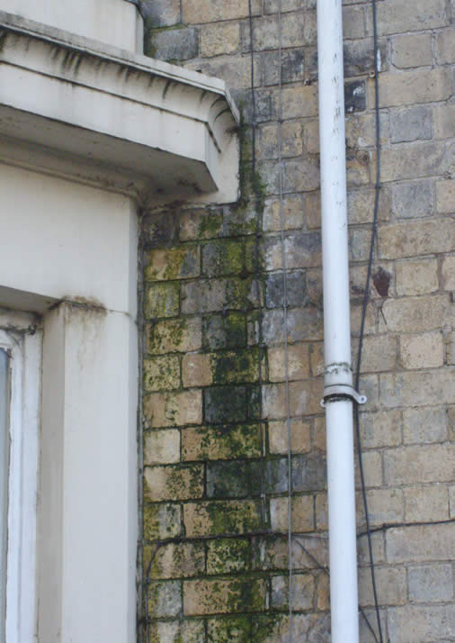 Controlling dampness sources and symptoms